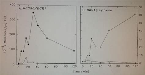 Figure 1 From Confirmation That T Cell Receptor Activation Is Digital