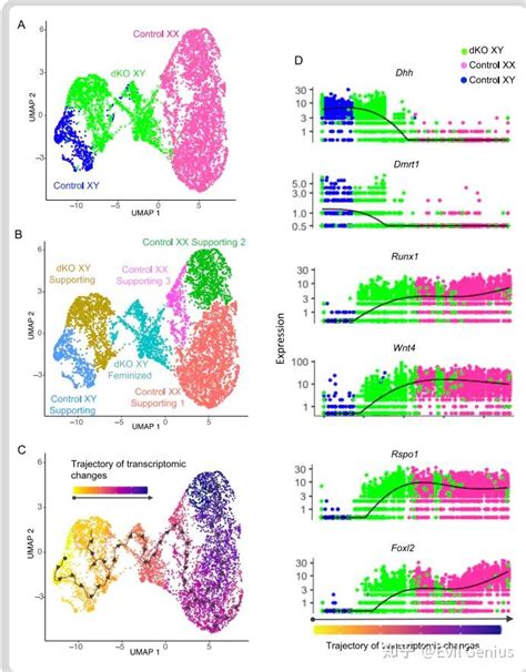 单细胞轨迹分析之应用篇 知乎