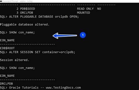Connect To Pluggable Database Pdb Testingdocs