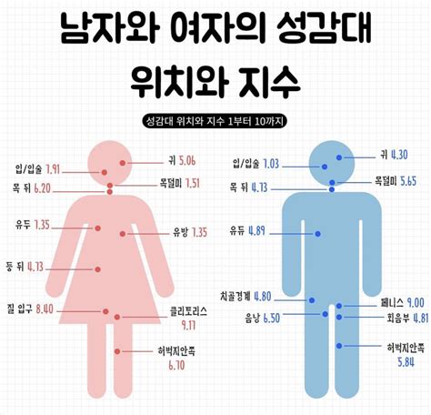 남자와 여자의 성감대 위치와 지수 유머 움짤 이슈 에펨코리아