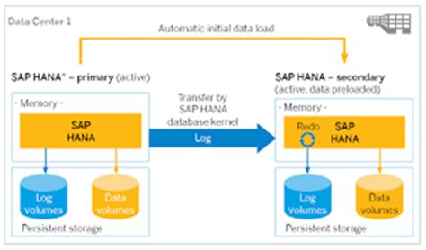 Data Recovery In SAP HANA ITPFED
