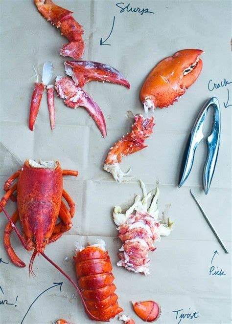 How To Cook The Perfect Lobster Artofit