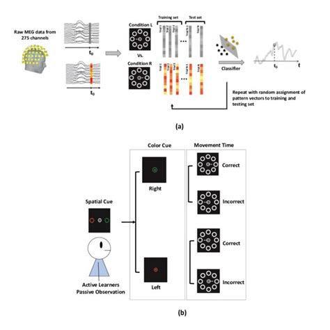 Multivariate Decoding Of Meg Sensor Data A Time Resolved Download Scientific Diagram