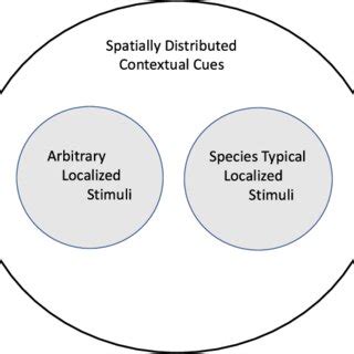 Major Stimulus Categories In The Sexual Behavior System Download Scientific Diagram