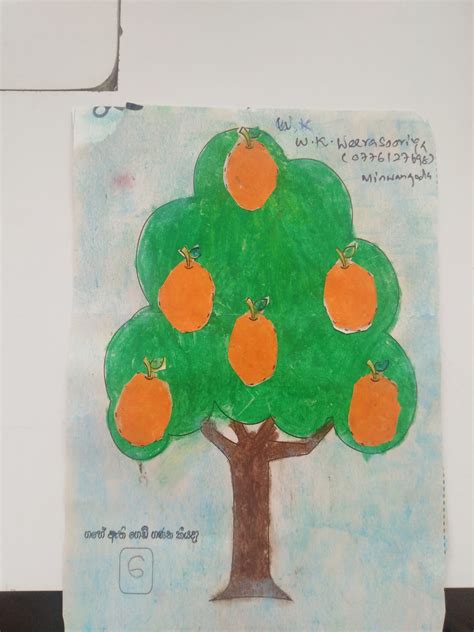 Atlas Sri Lanka ඔබට නම් මේ ”කුරුලු ලෑල්ල” මතක ඇති ගෙදර