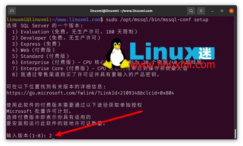 如何在 Ubuntu 上安装 Sql Server 和 Sql Server Cli 工具 Linux迷