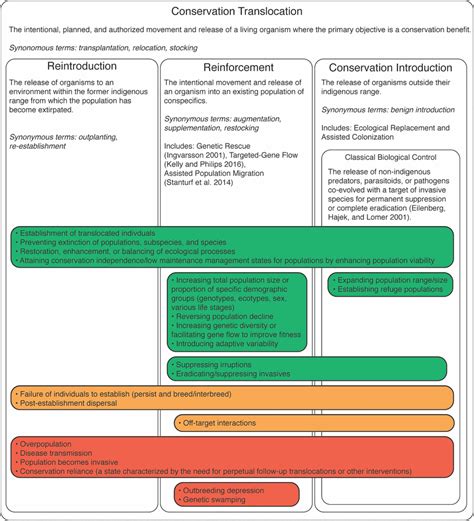 Translocation Hierarchy Definitions And Intendedunintended Download Scientific Diagram