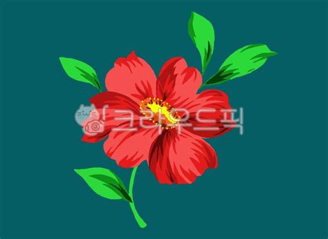 능소화 히비스커스 꽃도안 봄 봄꽃 사진이미지일러스트캘리그라피 디자인을 채우다작가