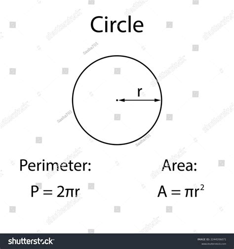 Perimeter Area Circle Vector Illustration Stock Vector Royalty Free 2244206071 Shutterstock