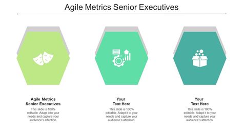 Agile Metrics Senior Executives Ppt Powerpoint Presentationmodel Brochure Cpb Presentation