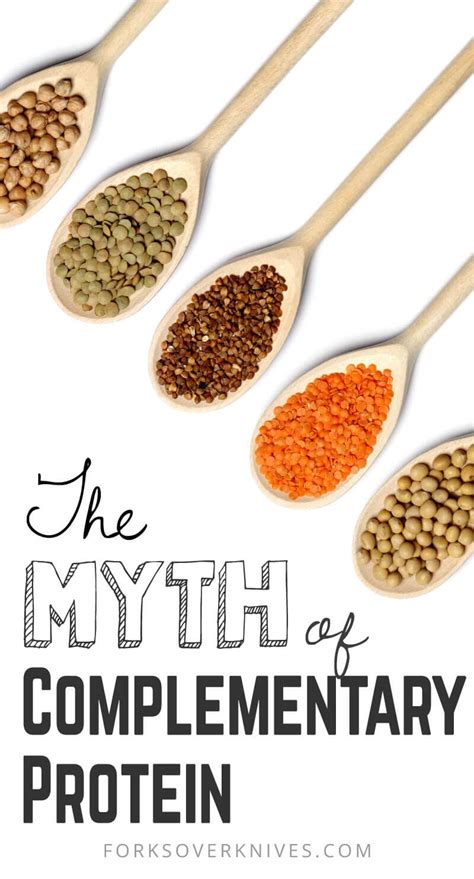 The Myth Of Complementary Protein Whole Food Recipes Vegetarian Recipes Healthy Vegetarian