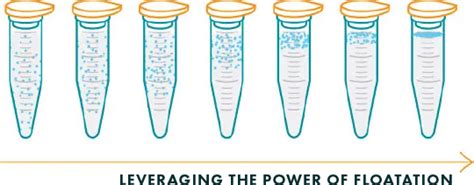 What Are Microbubbles Microbubble Cell Sorting Techniques And Bacs