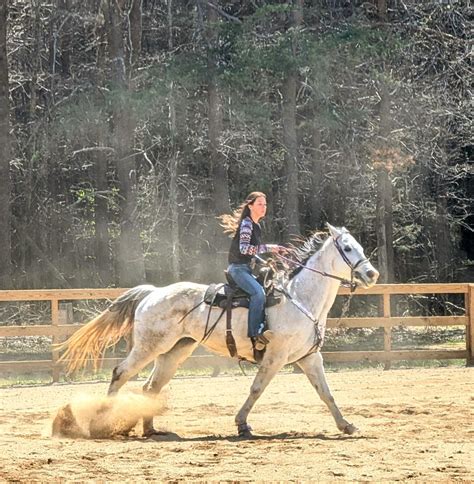 Uwharrie Bigfoot Festival 2025 Eventeny