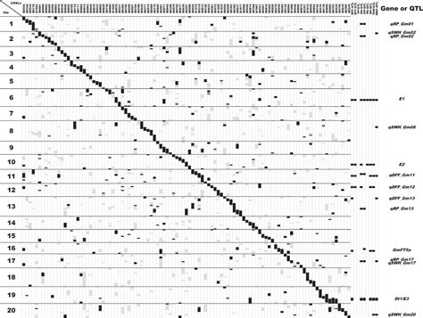 Figure 4 From Development Of A High Density Linkage Map And Chromosome