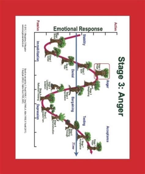 Manuals Tools Masgutova Store Manuals Books Dvds Music Reflex Videos Tools