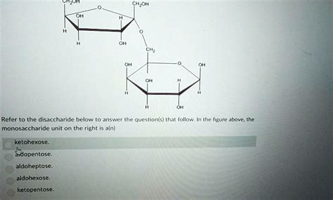 Solved Chzuh Chzoh Oh Ch2 Refer To The Disaccharide Below To Answer The Question S That Follow