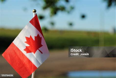 시골 길 근처의 빨간색과 흰색 캐나다 메이플 리프 플래그 Canada Day에 대한 스톡 사진 및 기타 이미지 Canada