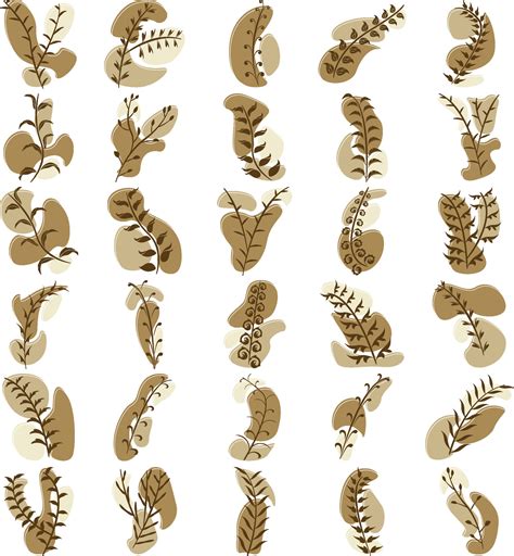 Element Leaf Floral Blob Set Collection 25868634 Vector Art At Vecteezy