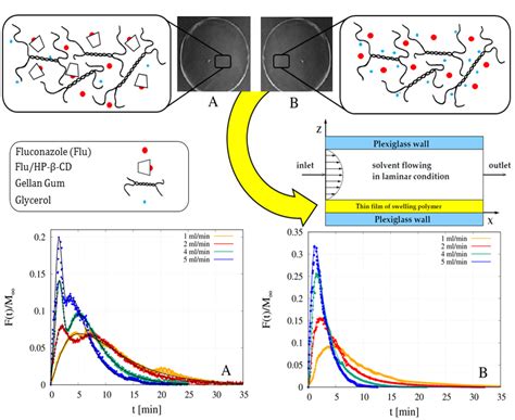 Enhanced Loading Efficiency And Mucoadhesion Properties Of Gellan Gum Thin Films By Complexation