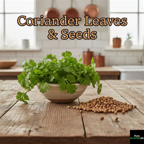 Coriander Seeds Vs Leaves Uses And Nutrition