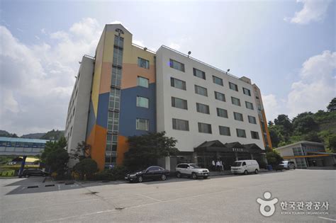 웰리힐리파크 유스호스텔