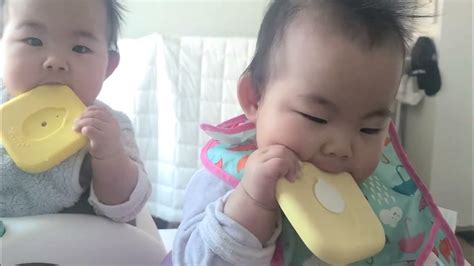 딸쌍둥이 인생 260일차 이유식 다 먹고 뚜껑까지 냠냠 Youtube