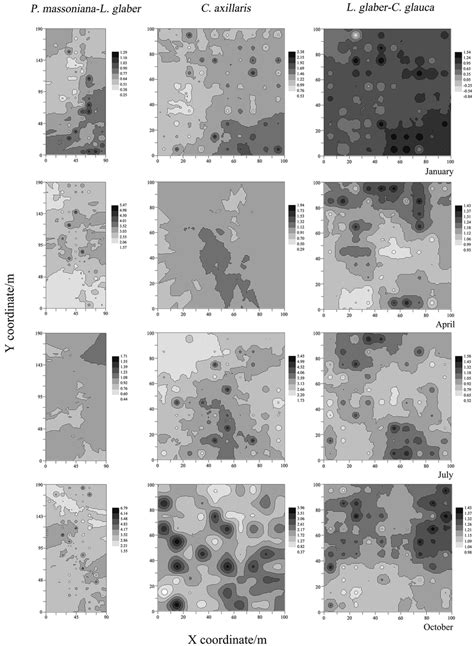 Spatial Heterogeneity Map Of Lai Values Interpolated Through Ordinary Download Scientific