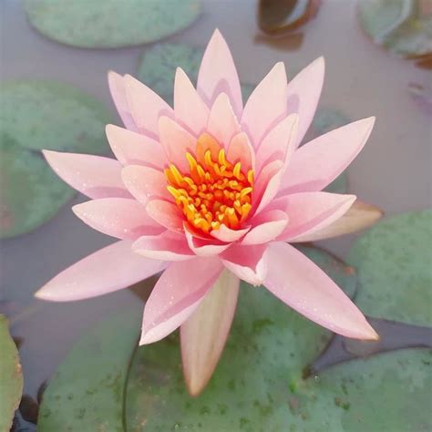 Cassandra Curtis Cassandracurtis • Instagram Photos And Videos