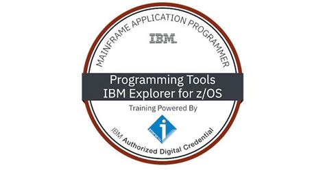 nedka blagoeva on linkedin interskill mainframe application