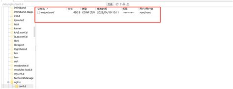 Net 60 部署linuxnginx Pm2教程 董川民