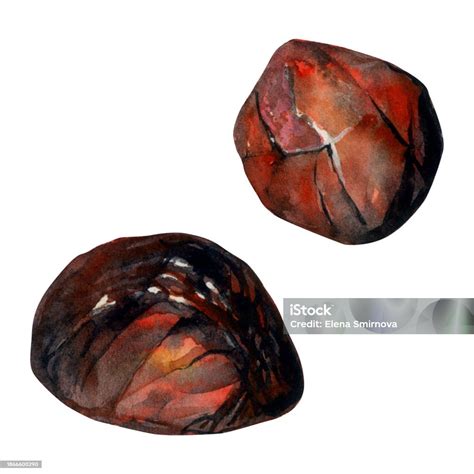 손으로 그린 수채화 그림 귀중한 준보석 보석 크리스탈 차크라 탄생 돌 석류석 루비 마노 흰색 배경에 고립된 개체 집합입니다 디자인 프린트 가게 보석 패션 0명에 대한 스톡