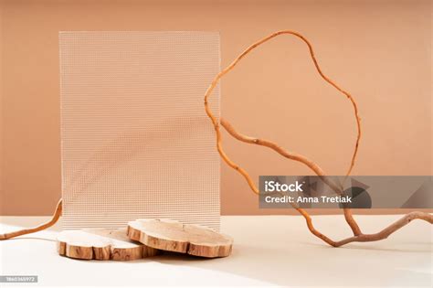 전시회 및 제품 프레젠테이션을 위한 연단 재료 유리 돌 나무 마른 가지 천연 소재로 만든 아름 다운 복숭아 배경 구도가 있는 추상적인 자연 장면 강단에 대한 스톡 사진 및