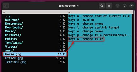 How To Rename A File On Ubuntu 2204 Linux Genie