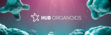 Behind Each Of Our Patient Derived Organoids Lies Extensive Work From