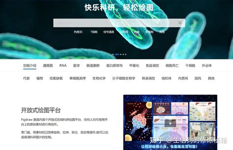 免费在线绘图平台—figdraw 知乎