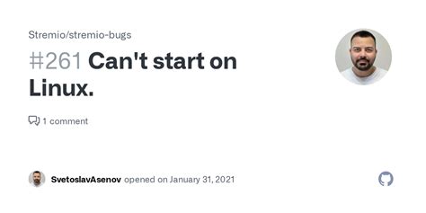 Cant Start On Linux · Issue 261 · Stremio Stremio Bugs · Github