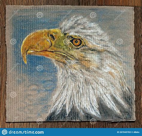 Single White Eagle Portrait Closeup Hand Drawn Pastel Picture On The