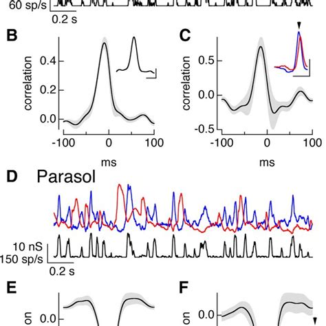 Temporal Correlations During Full Field Noise Stimuli A On Midget