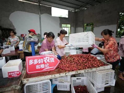 赵佳臻上任150天，8岁拼多多正经历一场由快向稳的蜕变天极大咖秀