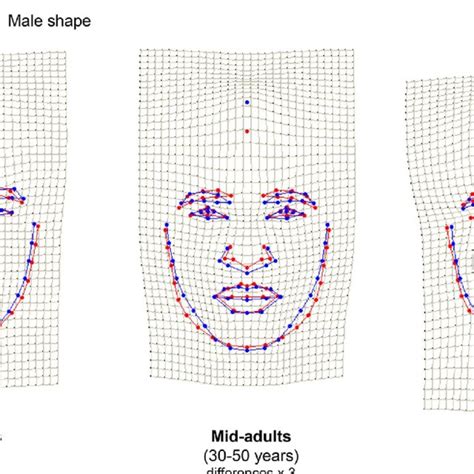 Sex Differences In Facial Shape Of Maasai From Three Age Cohorts