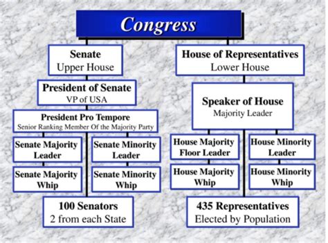 Ch 11 Lecture Flashcards Quizlet