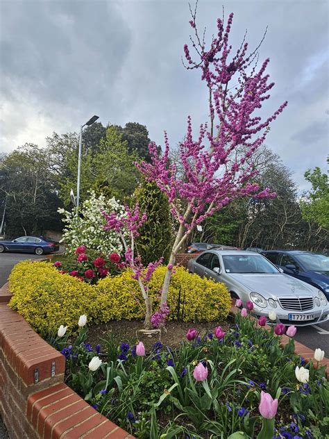 Ivaylo Andonov On Linkedin Spring London