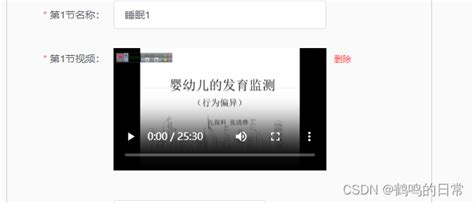 Element Ui 上传视频2this Videoflag Csdn博客