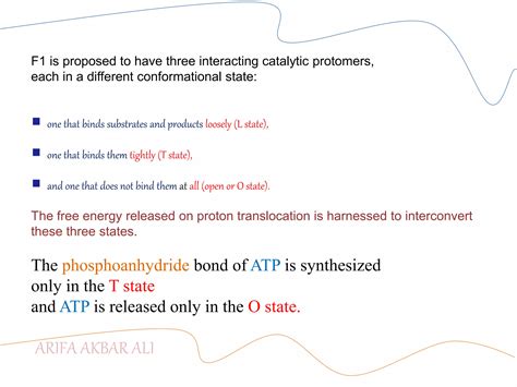 Binding Change Mechanism Of ATP SYNTHASE PPTX