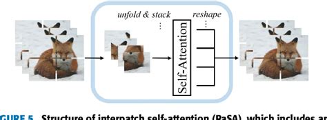 Figure 1 From Domain Adaptive Vision Transformers For Generalizing Across Visual Domains