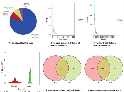 Summary Of Lncrna Characteristics And Gene Expression A Summary Of