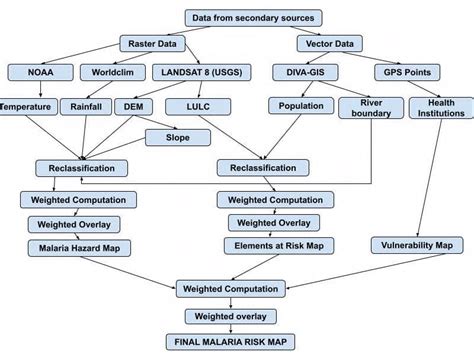 Diagrammatic Representation Of The Methodology Download Scientific