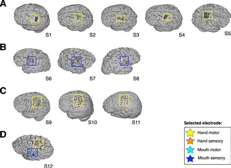 ecog grid localization a d brain surface renderings with projected
