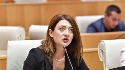 ქვეყნის საზიანოდ გადადგმული ნაბიჯი ვინც არ უნდა იყოს ავტორი ხელისუფლება ოპოზიციის ნებისმიერი