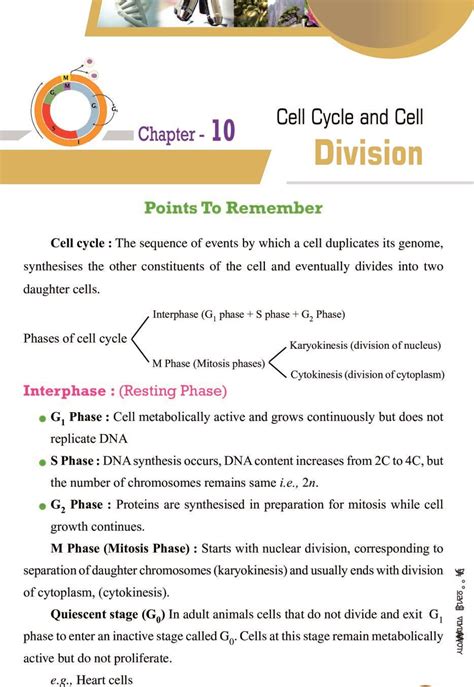 Cell Cycle And Cell Division Class 11 Notes Pdf कोशिका चक्र और